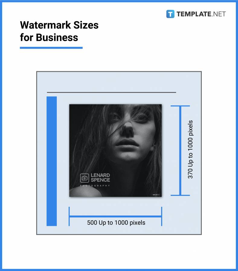 Watermark Size - Dimension, Inches, mm, cms, Pixel