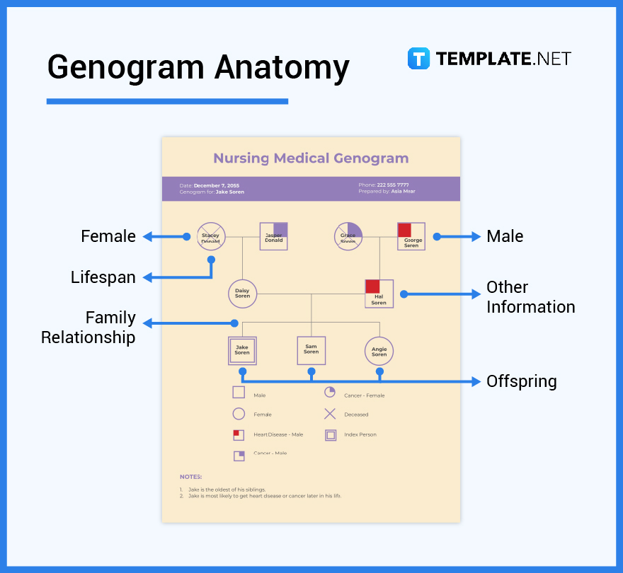 Genogram - What Is a Genogram? Definition, Types, Uses