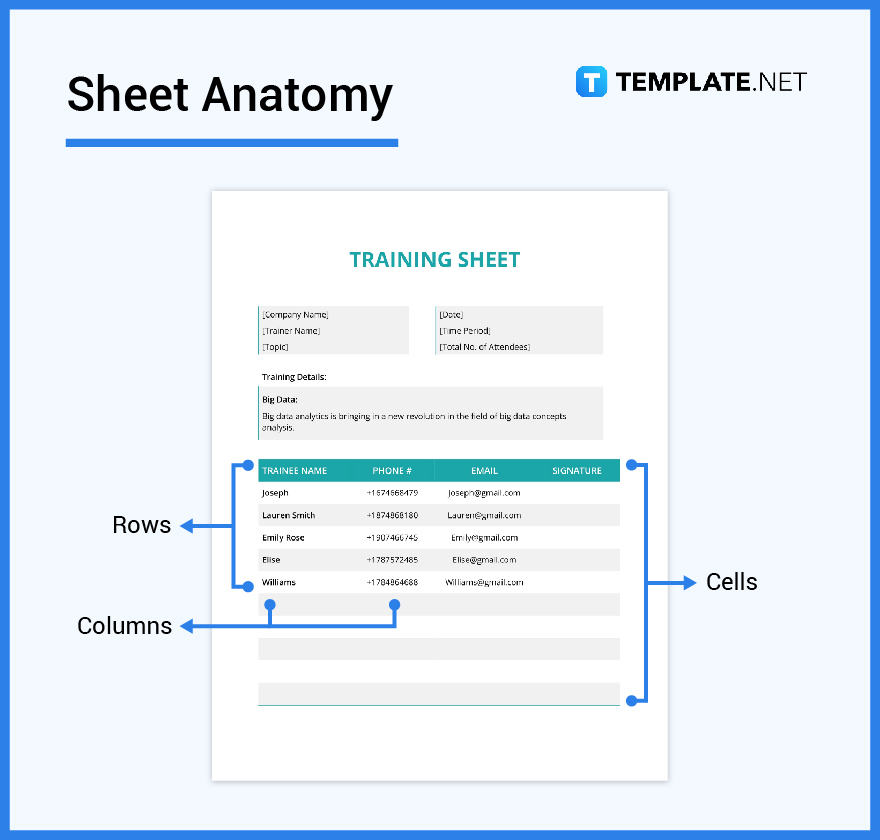 Sheet - What Is a Sheet? Definition, Types, Uses