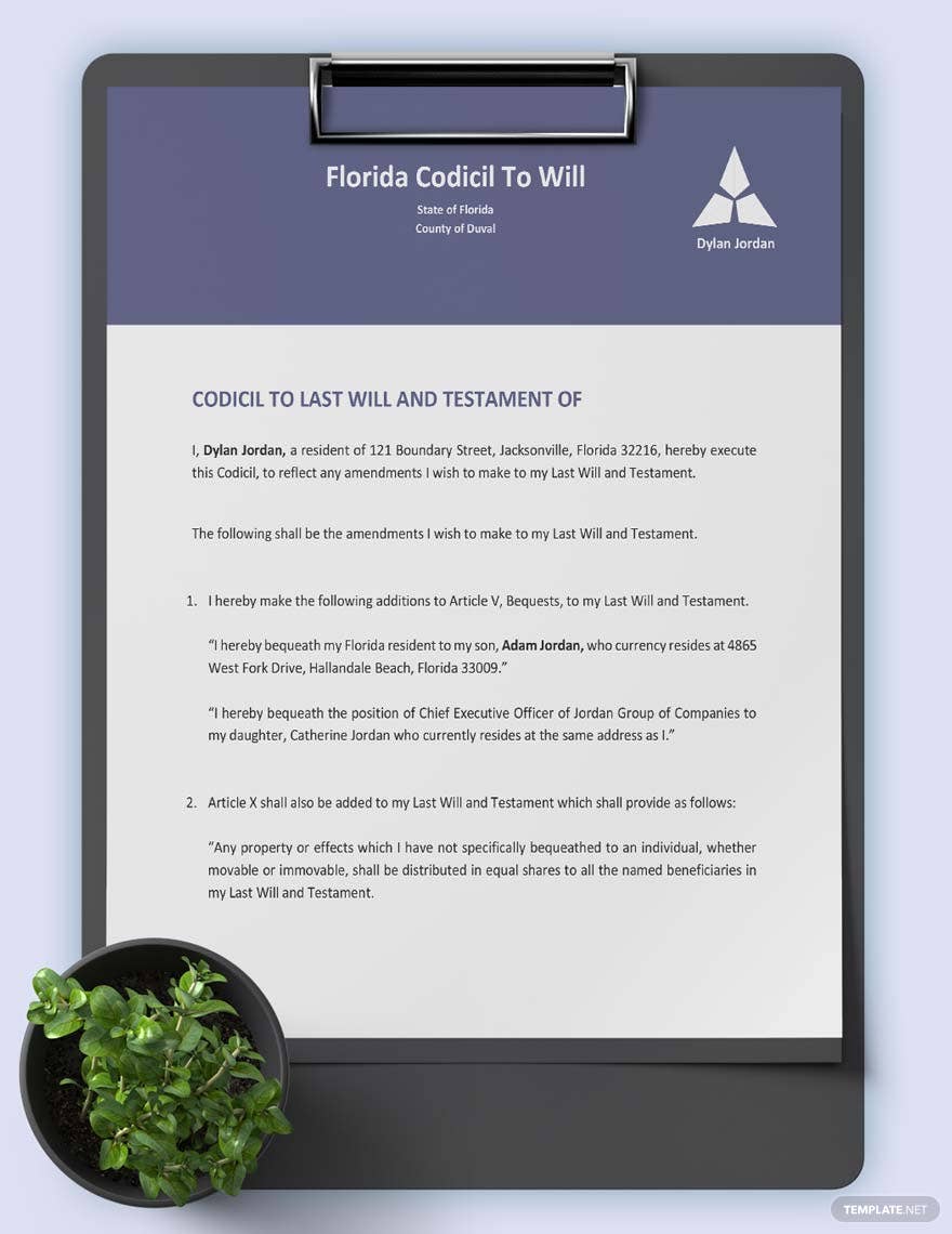 Codicil Wills What Is A Codicil Will Definition Types Uses