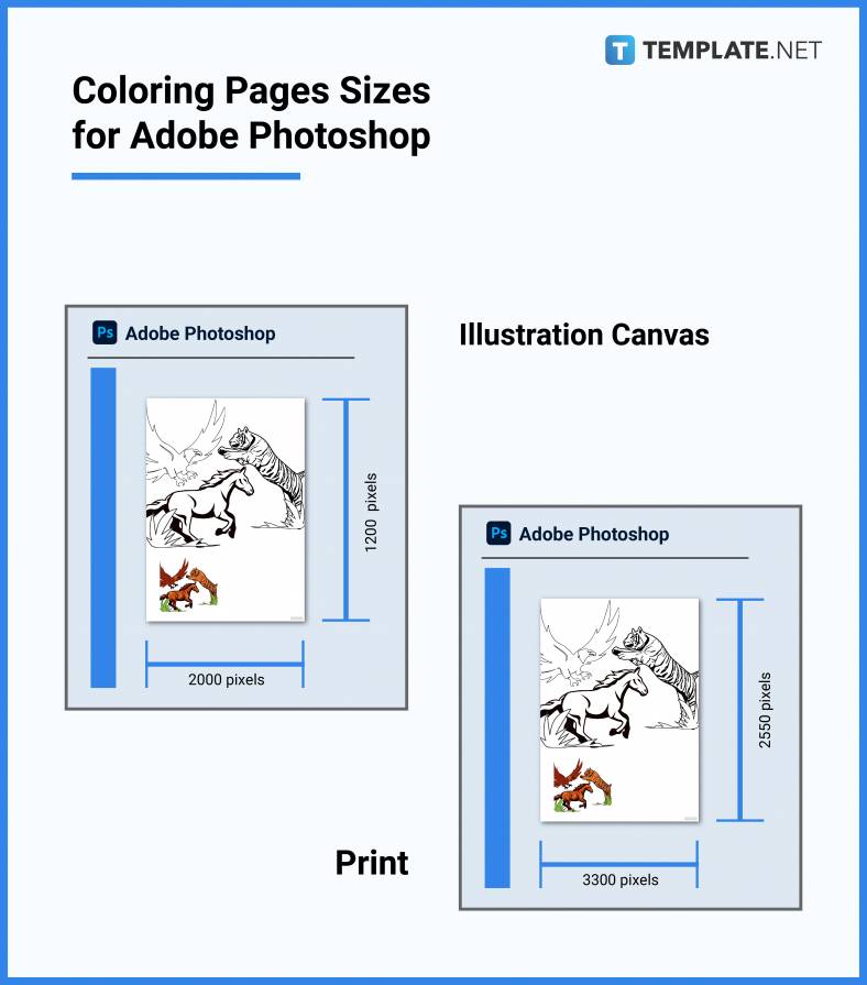 Coloring Pages Size - Dimension, Inches, mm, cms, Pixel