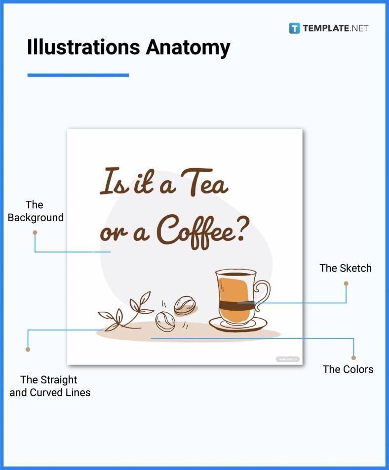 Illustrations - What Is an Illustration? Definition, Types, Uses