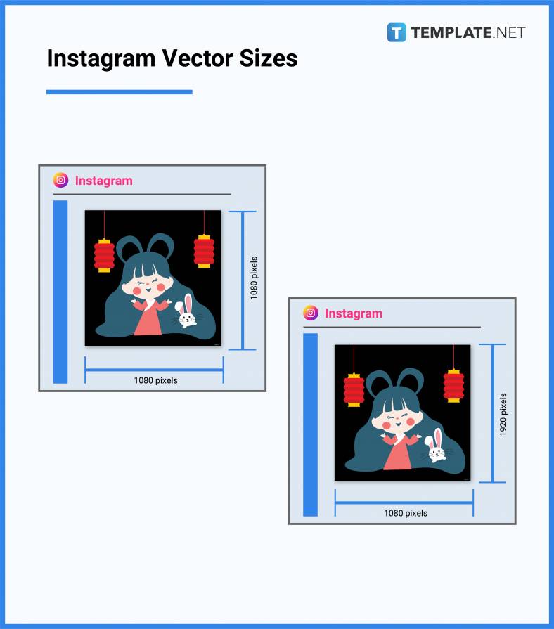 Vector Size - Dimension, Inches, mm, cms, Pixel