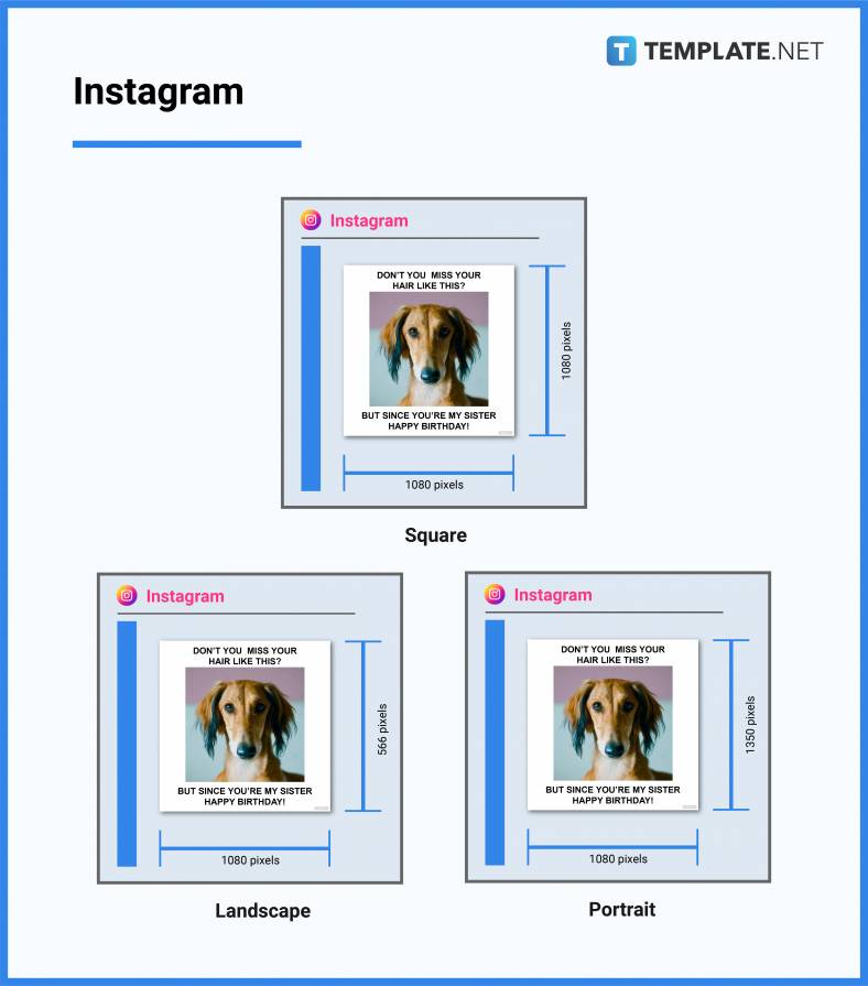 Meme Size - Dimension, Inches, mm, cms, Pixel