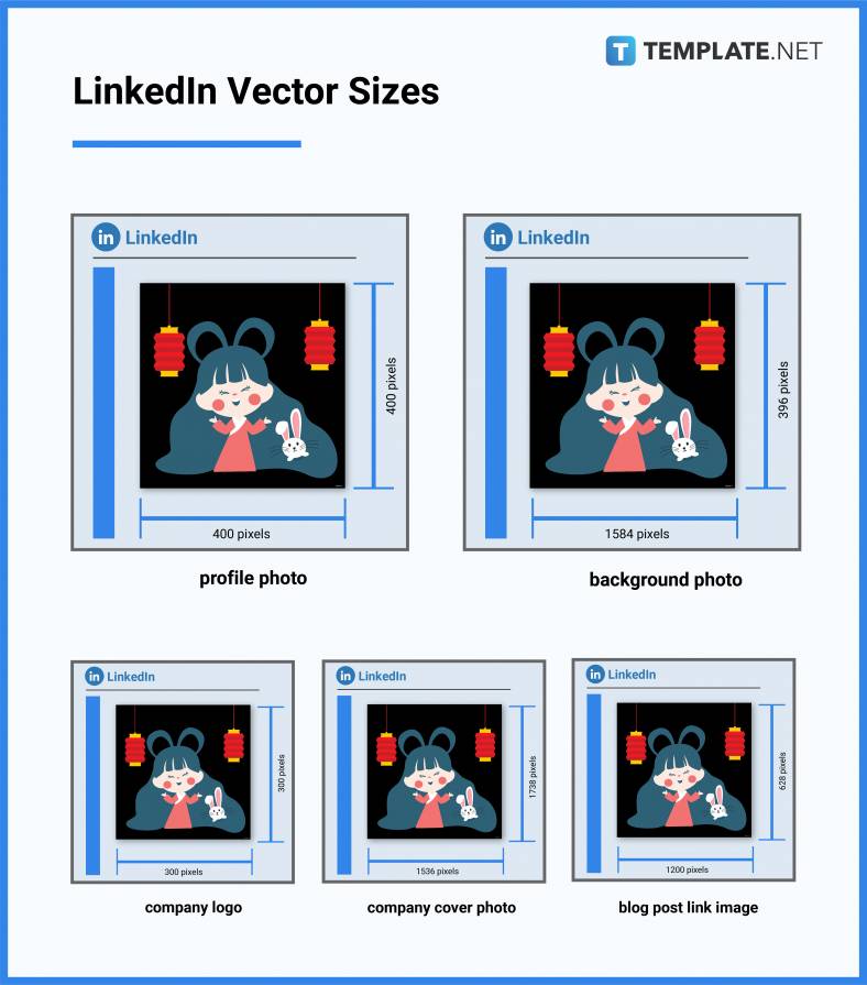 Vector Size - Dimension, Inches, mm, cms, Pixel