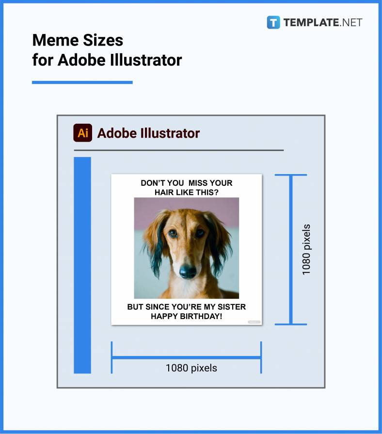 Meme Size - Dimension, Inches, mm, cms, Pixel