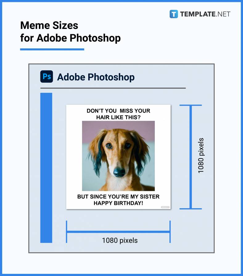 Meme Size - Dimension, Inches, mm, cms, Pixel