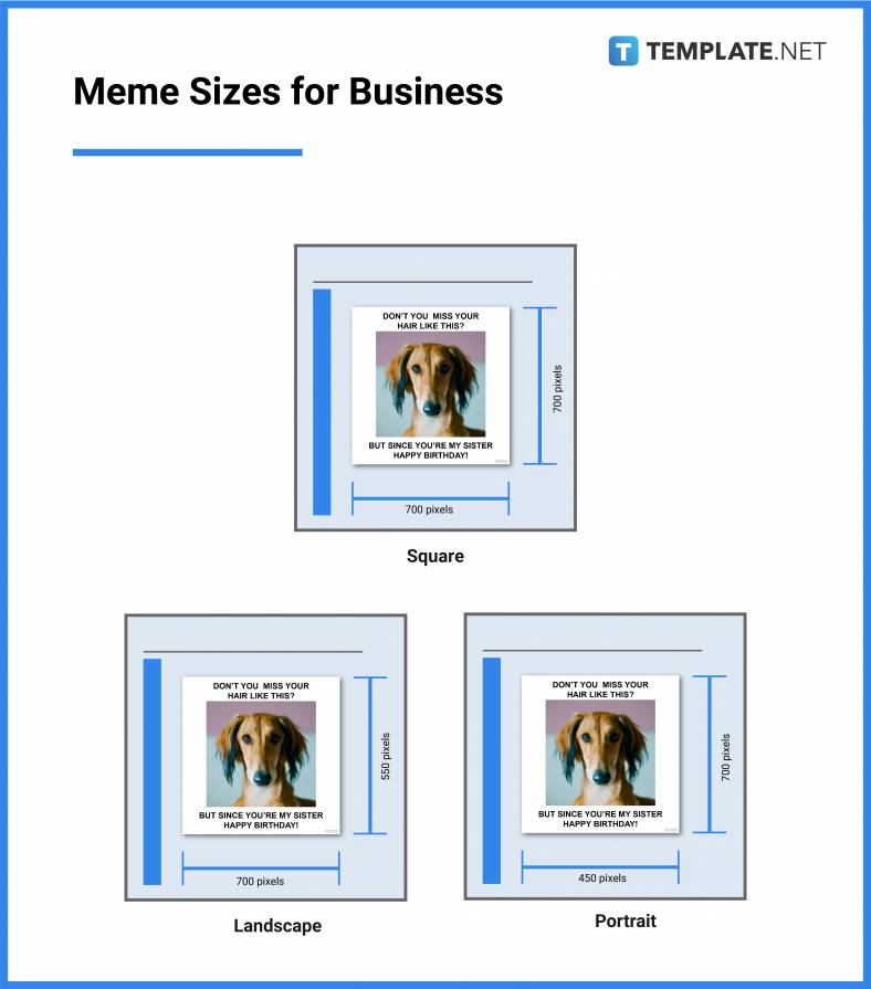 Meme Size - Dimension, Inches, mm, cms, Pixel
