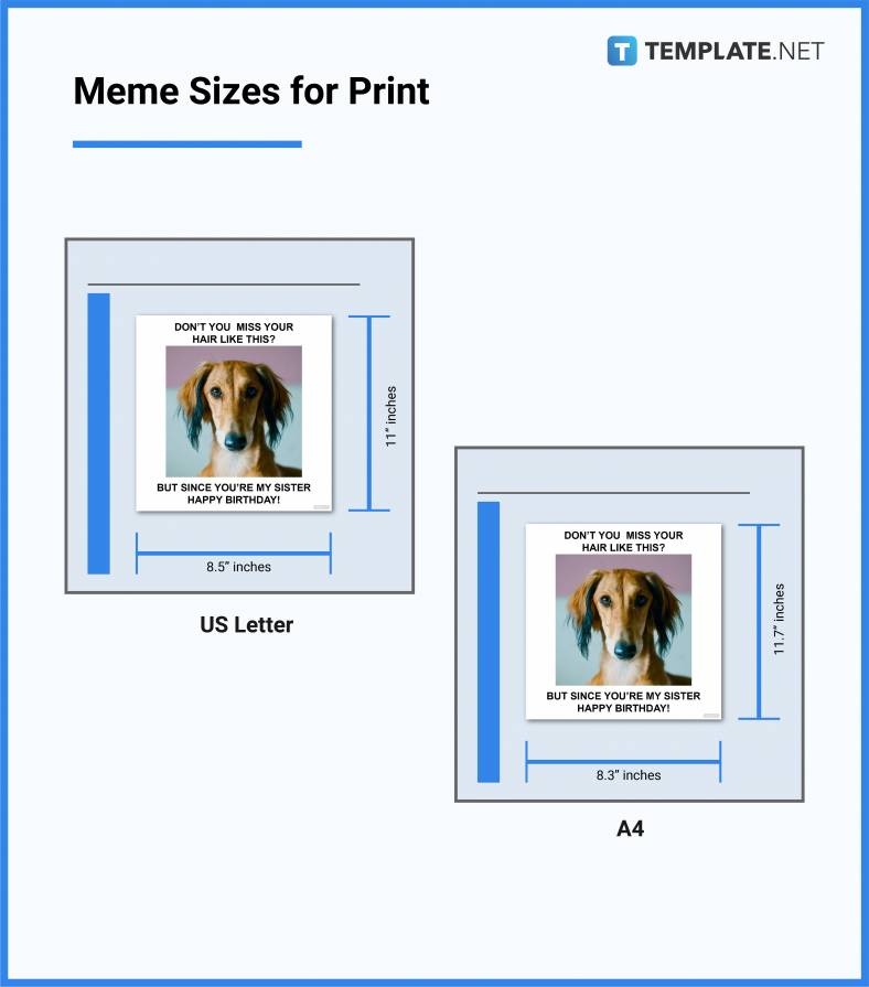 Meme Size - Dimension, Inches, mm, cms, Pixel