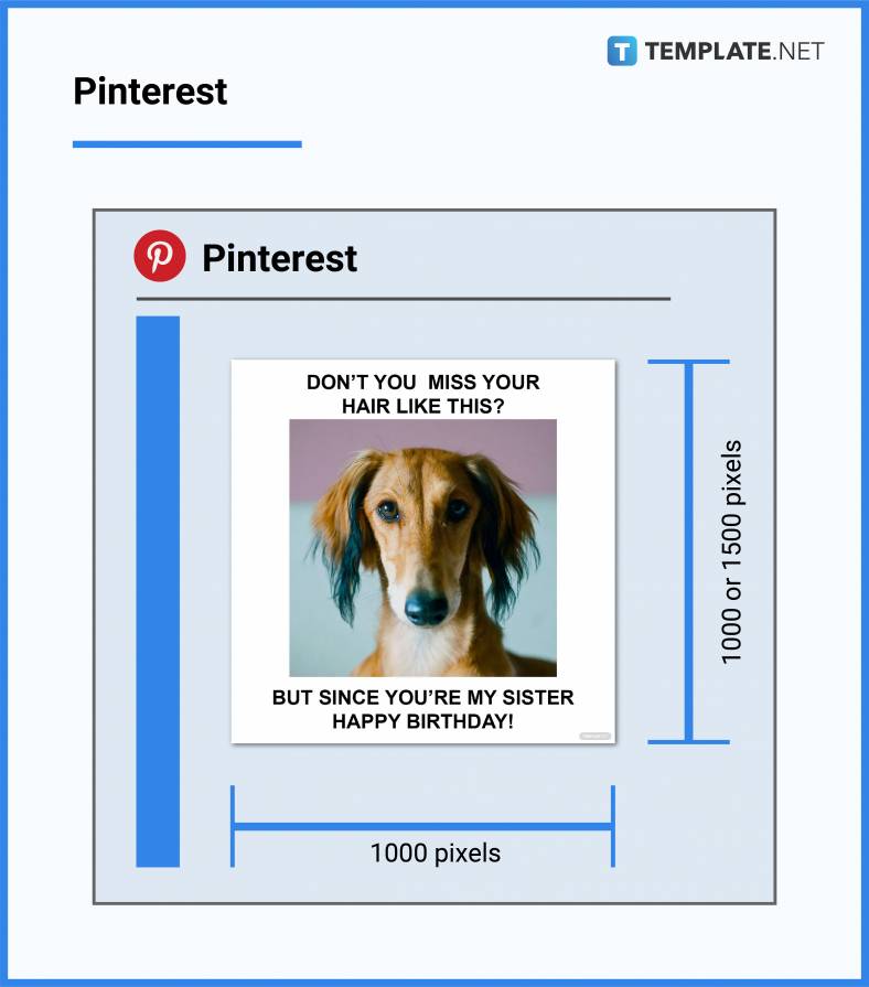 Meme Size - Dimension, Inches, mm, cms, Pixel