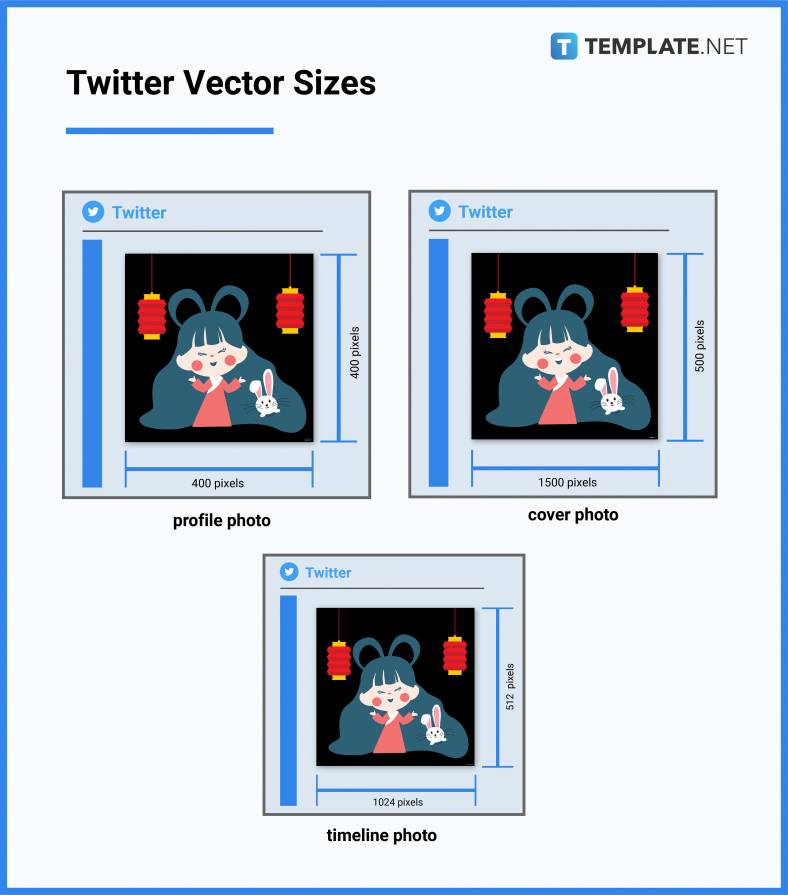 Vector Size - Dimension, Inches, mm, cms, Pixel