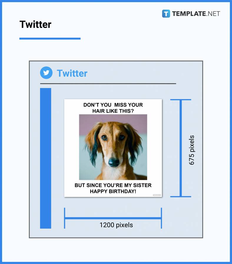 Meme Size - Dimension, Inches, mm, cms, Pixel