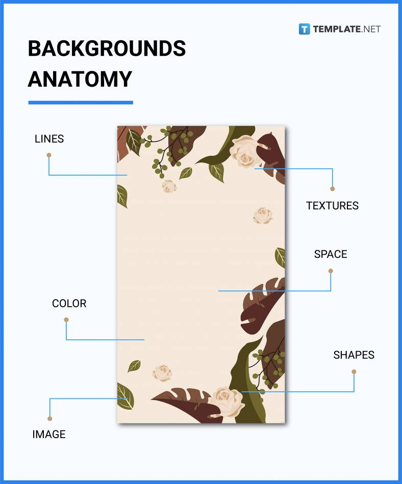 Backgrounds - What Is a Background? Definition, Types, Uses