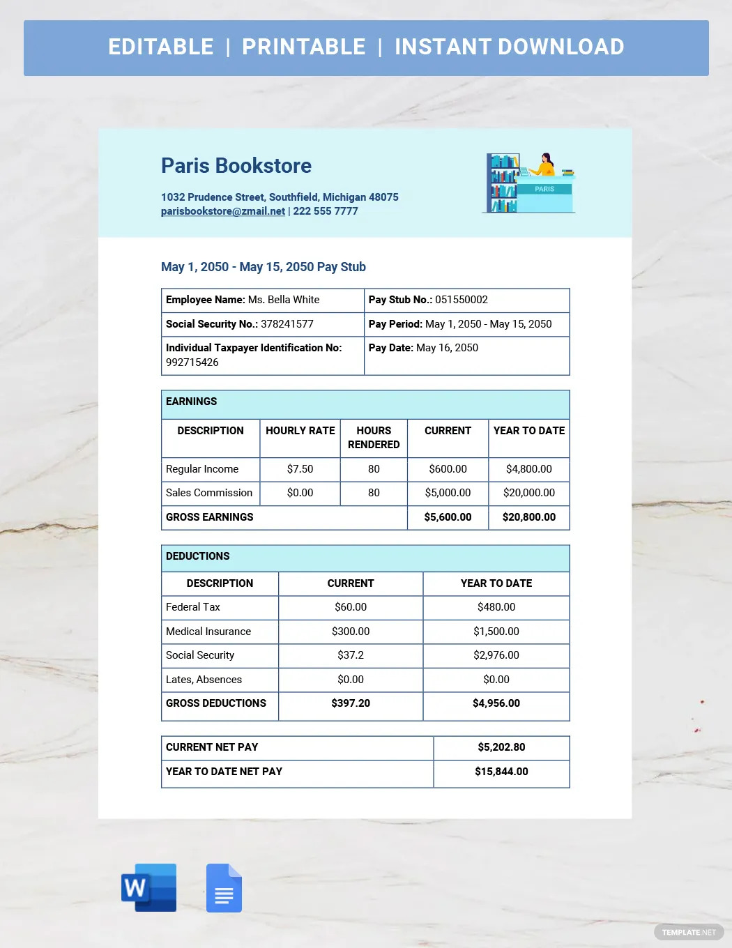 Payslip Ideas Examples 2022