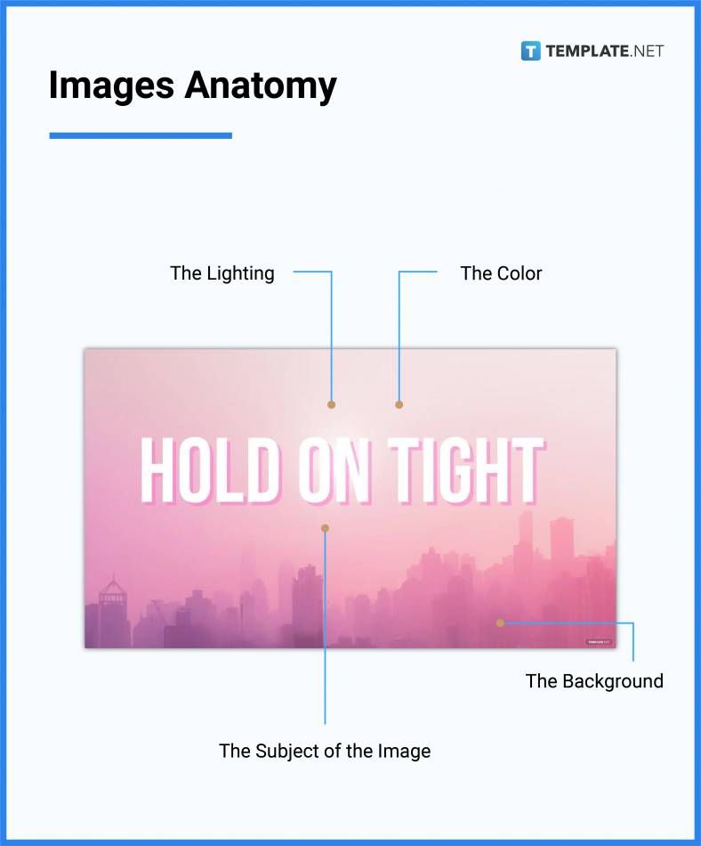 Images - What Is an Image? Definition, Types, Uses
