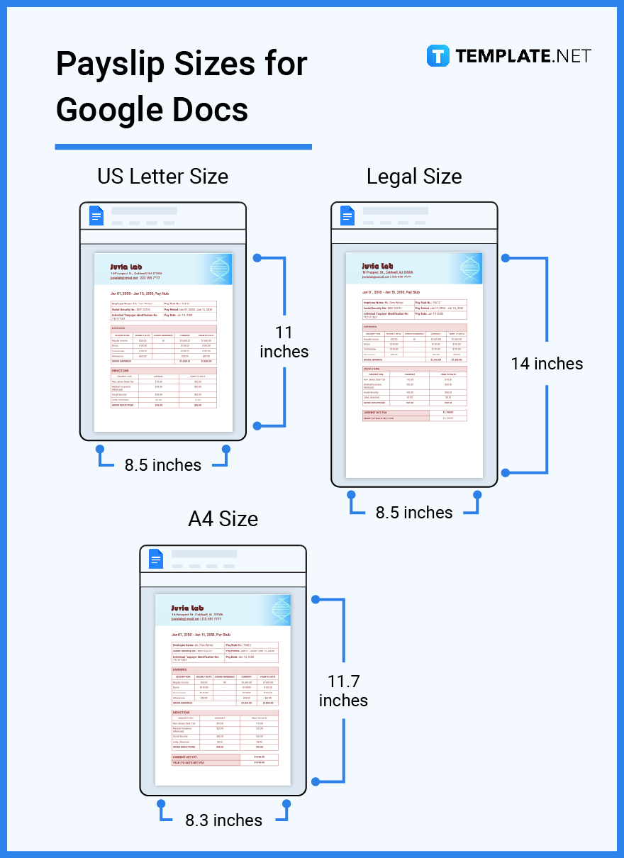 Payslip Size - Dimension, Inches, mm, cms, Pixel | Free & Premium Templates