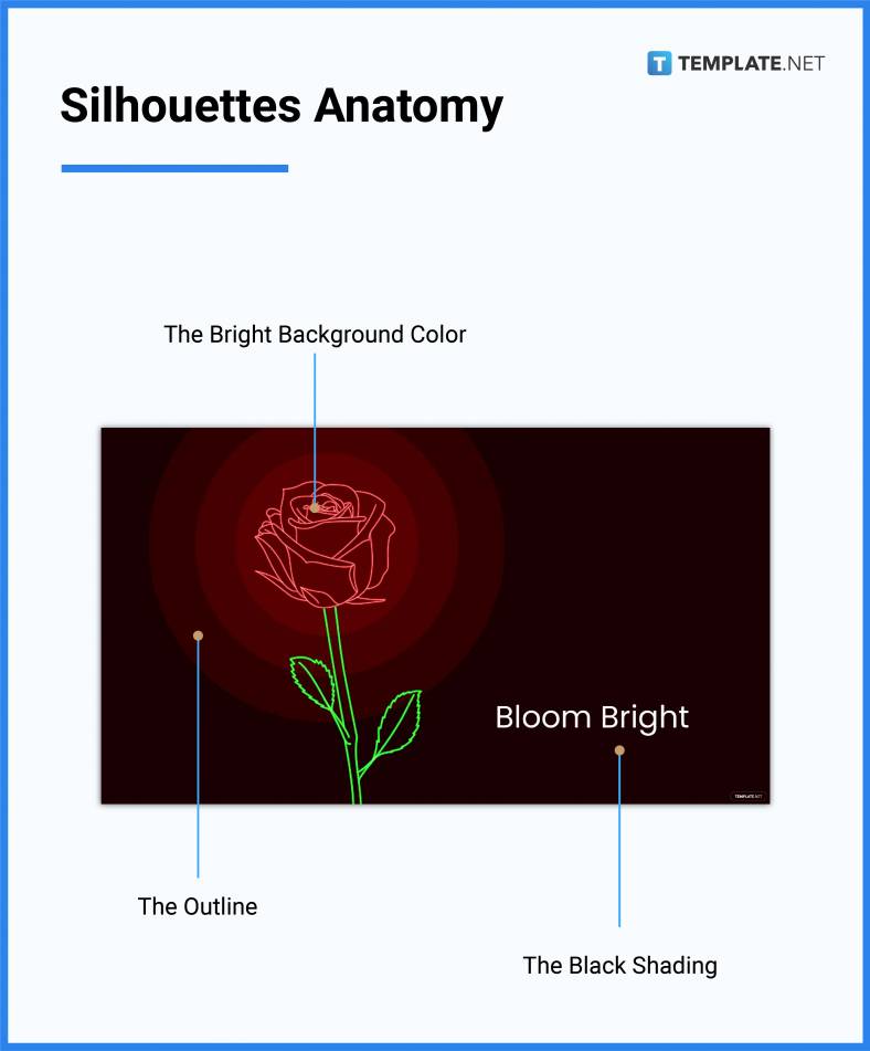 Silhouettes - What Is a Silhouette? Definition, Types, Uses