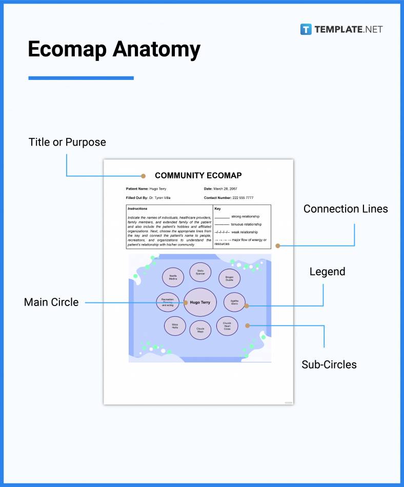 Ecomap - What Is an Ecomap? Definition, Types, Uses | Free & Premium ...