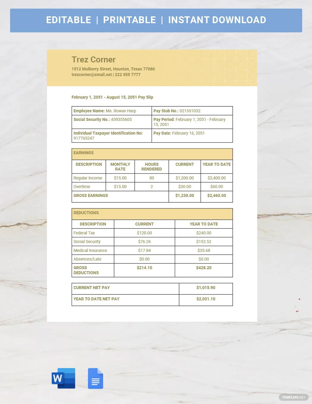 Payslip - What Is a Payslip? Definition, Types, Uses