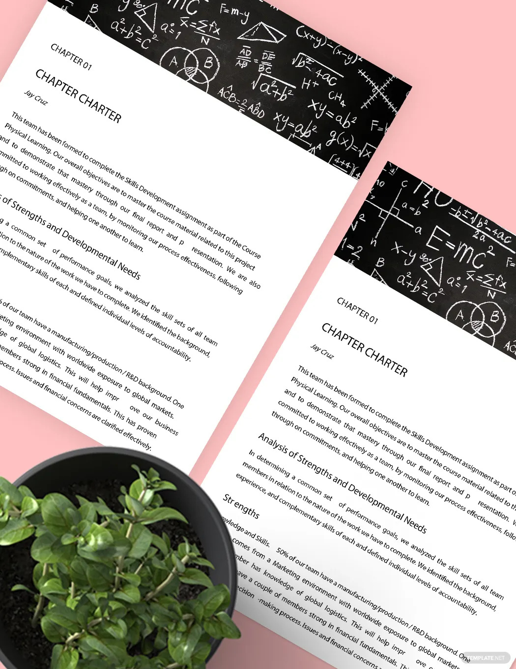 Chapter - What is a Chapter? Definition, Types, Uses