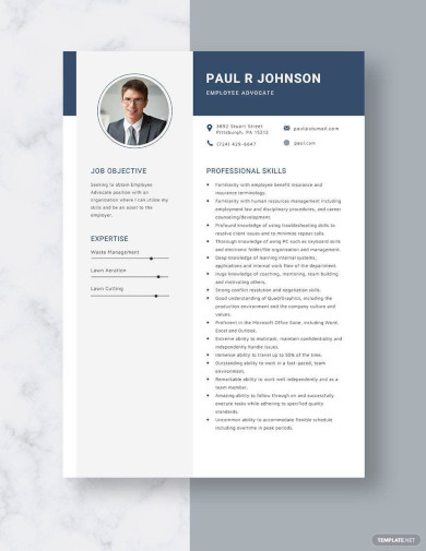 18+ Lawyer Resume Templates - DOC, Excel, PDF