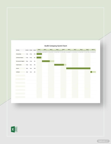 18+ Process Audit Checklist Templates in Excel | PDF