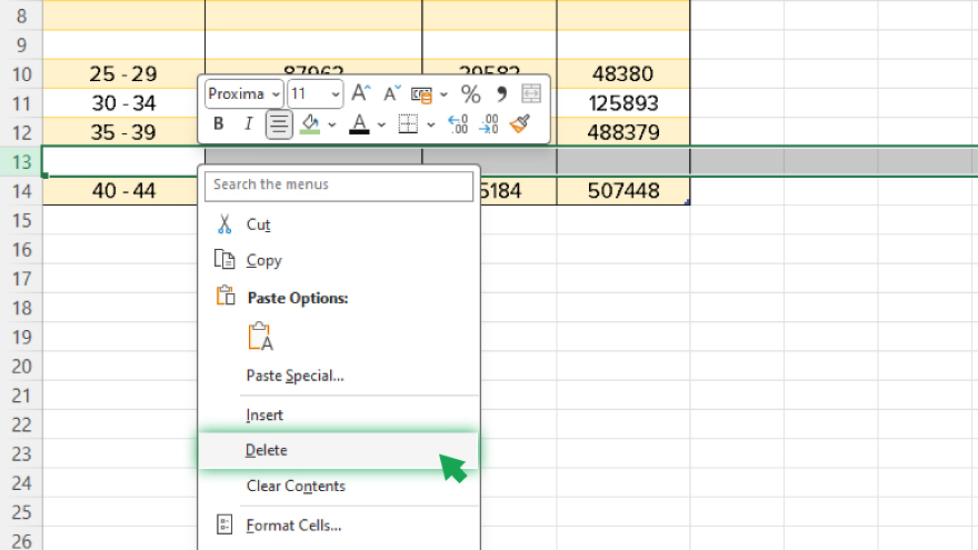 How to Remove Blank Rows in Microsoft Excel