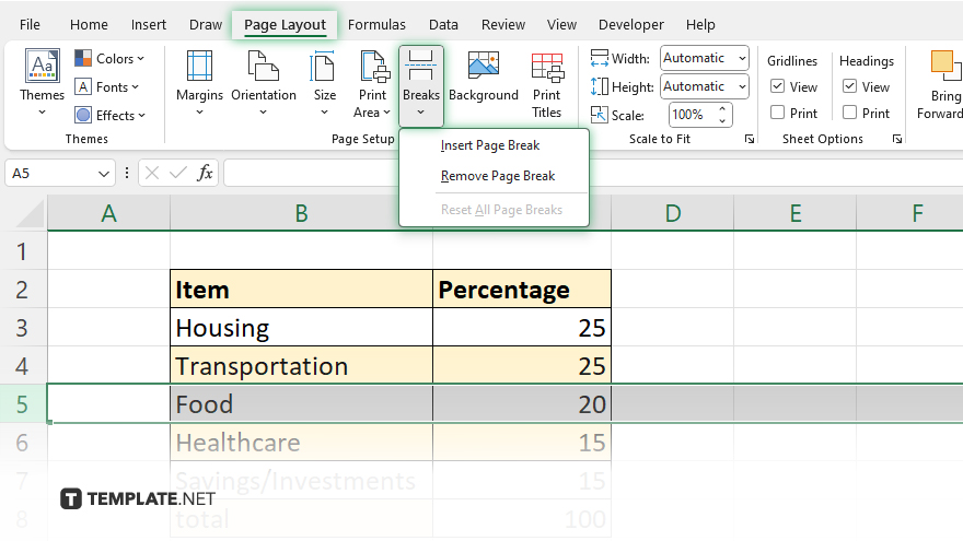 How to Insert Page Break in Microsoft Excel [+ Video]