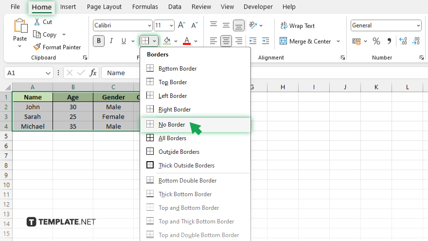 How to Remove Borders in Microsoft Excel [+ Video]
